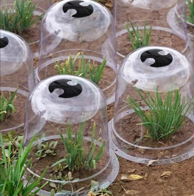 Direct Supply Transparent PVC Seedling Cover Plastic Insulation for ...