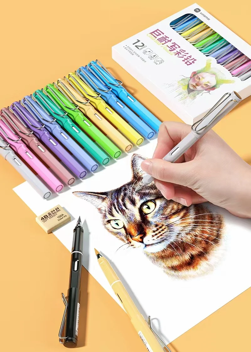12 Color Colored Pencils. Students Draw Pencils And Write Constantly ...