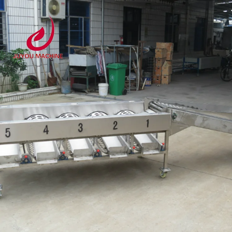 High Efficiency Fruit Sorter - Orange Lemon Chufa Potato Tomato Grading ...