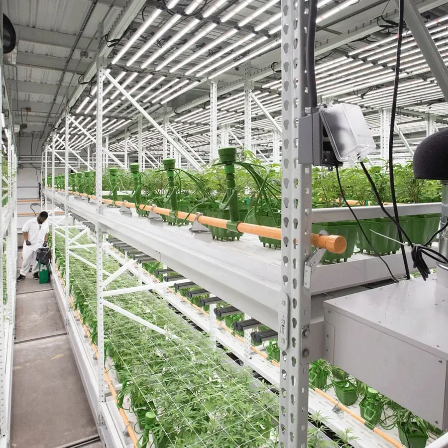 Indoor Plants Rack Hydroponic Mobile Grow Rack Vertical System - Buy ...