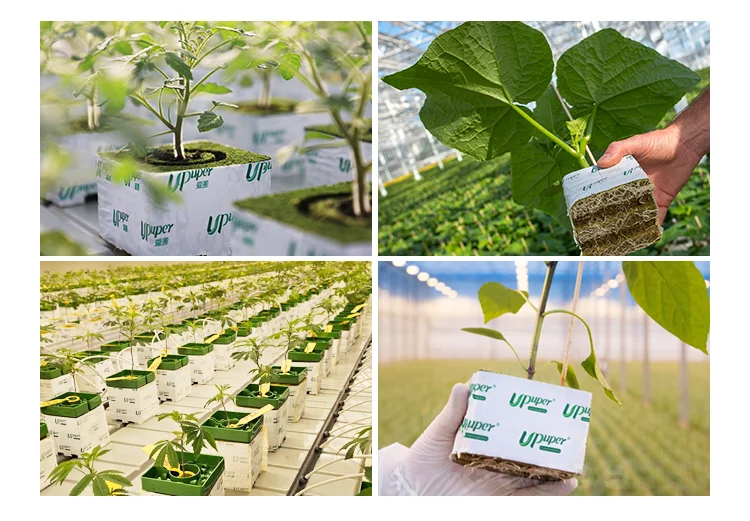 Upuper Sustainable Farming Modern Greenhouse 4 Hydroponics Rock Wool ...