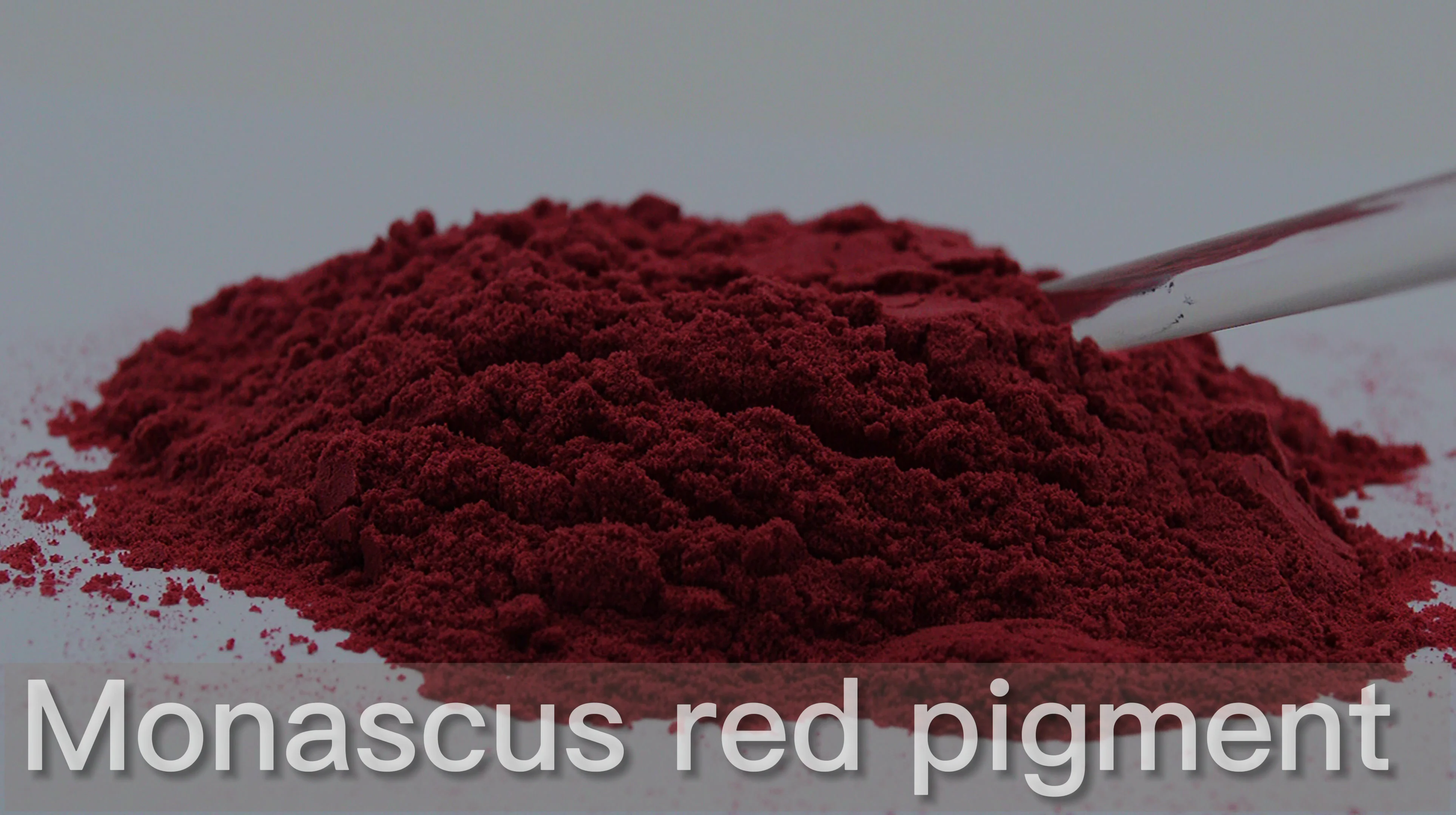 Manufacturer Supply 7659-95-2 Betanin 100% Pure Bulk Organic Raw ...