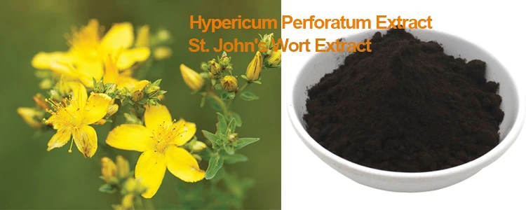 Wholesale Bulk Natural Hypericin 0.3% St. John's Wort Extract Hypericum ...
