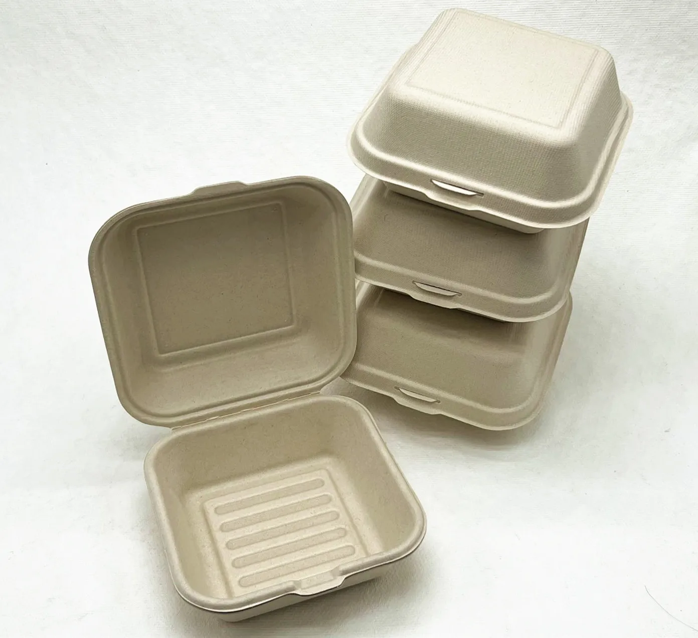 Wholesale 6in Disposable Sugarcane Bassage Biodegradable Clamshell ...