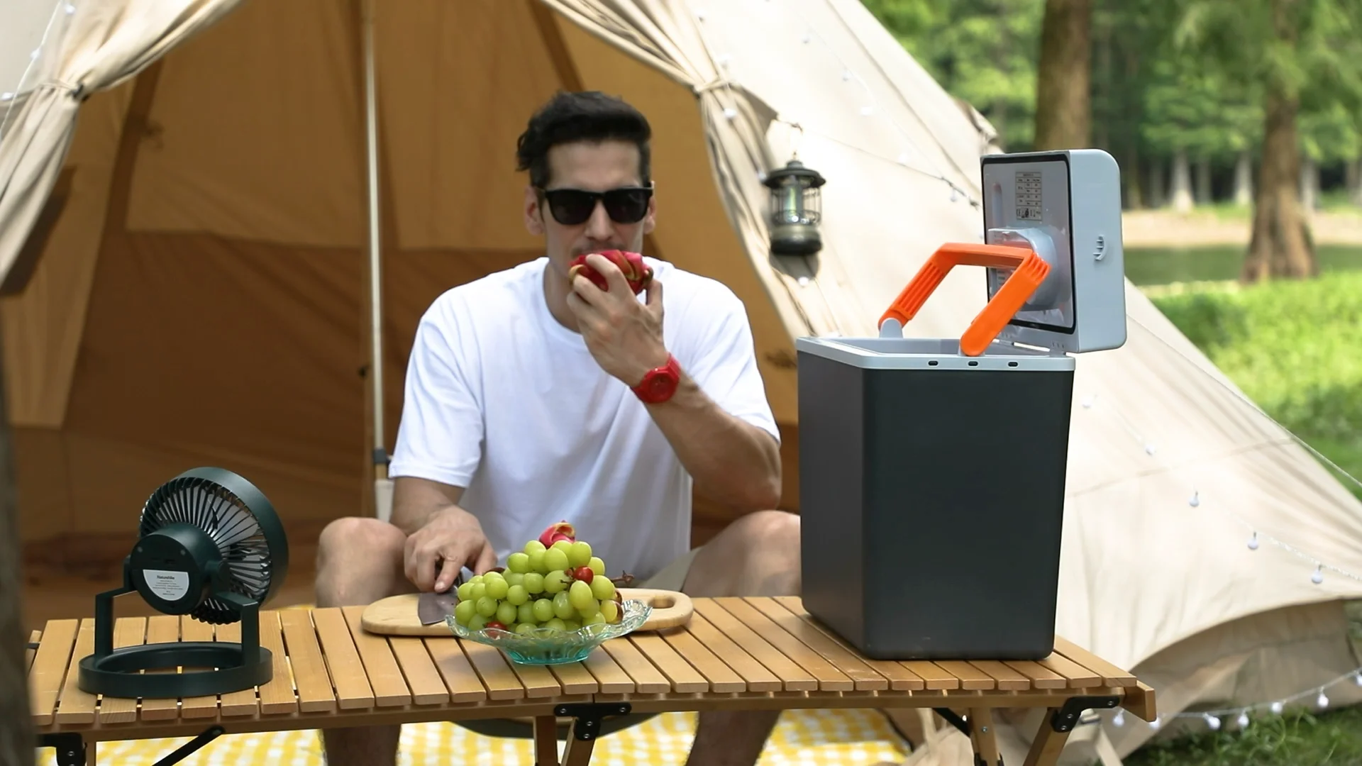 Sports Refrigerator Freezer Box Hot And Cold 20 Litre Car Fridge With ...