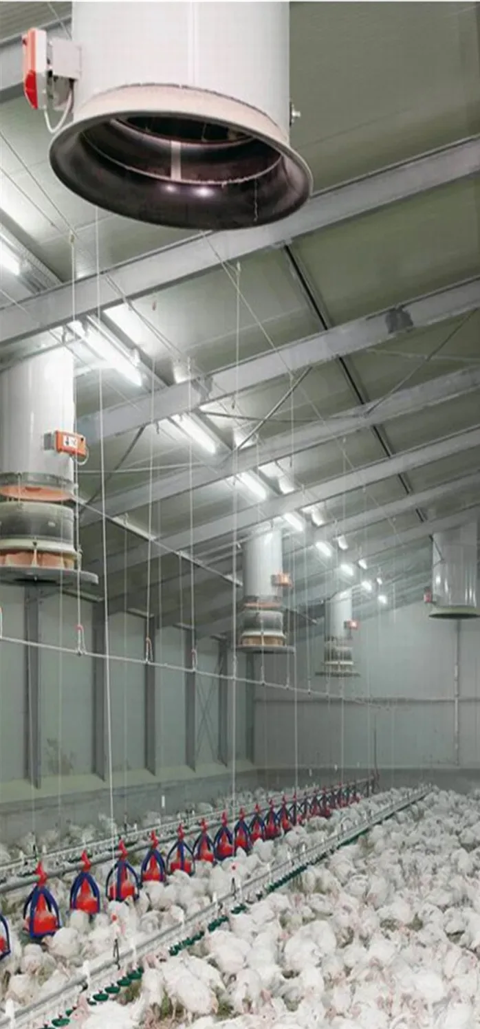 Structure Prefabricated Chicken House Poultry Farm Prefab Steel Motor ...