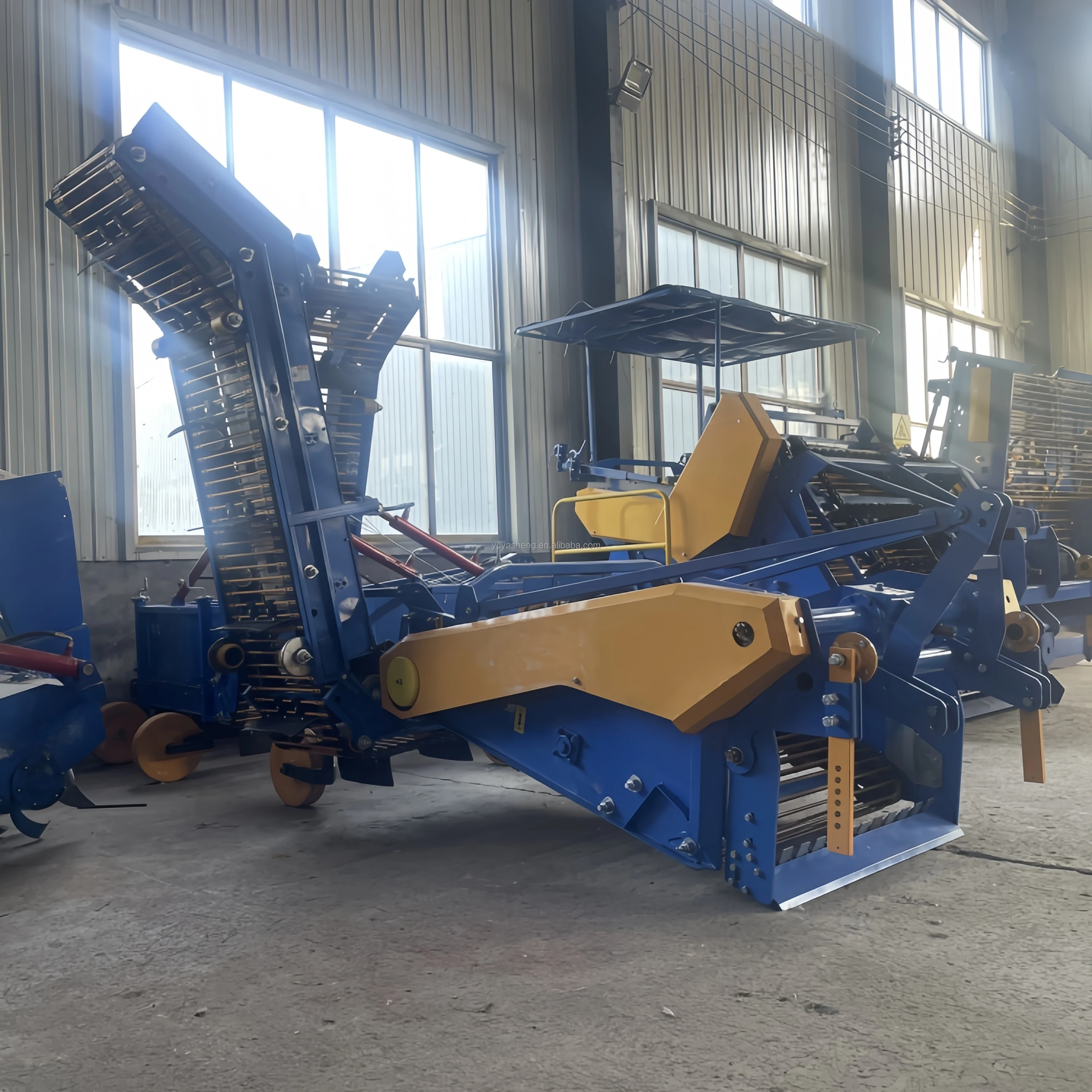 Agricultural Automatic Sweet Potato Digger Harvester Garlic Carrot ...