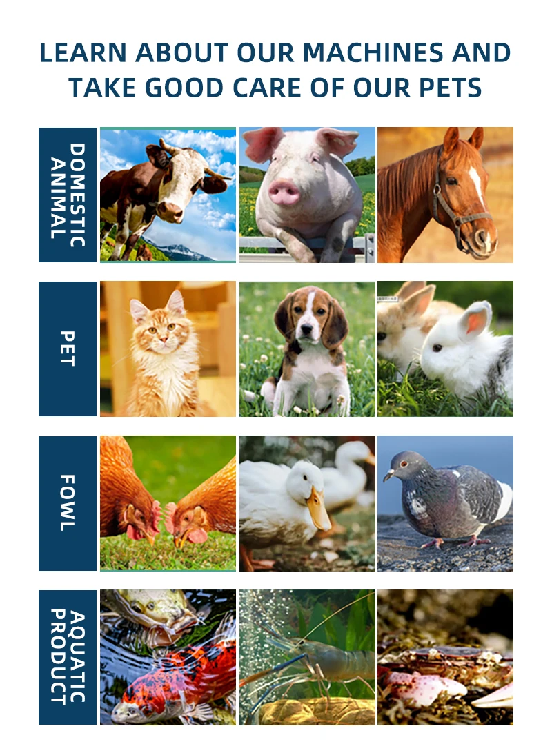 Feed Processing Machine for Pig Farms and Pig Farms Wholesale Cheapest ...