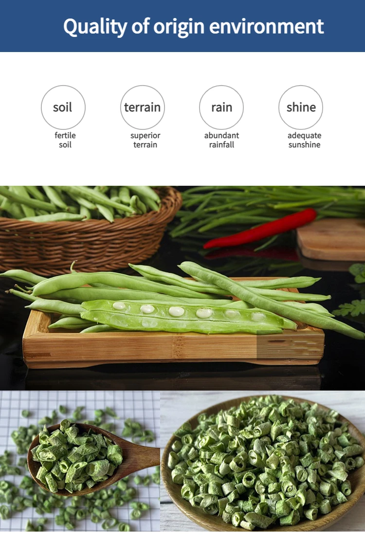 Freeze Dried Vegetable Freeze Dried Green Bean - Buy Freeze Dried ...