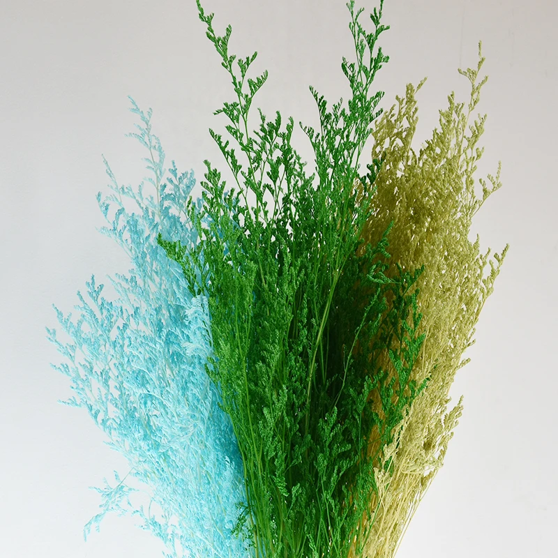 Hot Sale Multi-colored Dried Lover's Grass Bouquet Natural Preserved ...