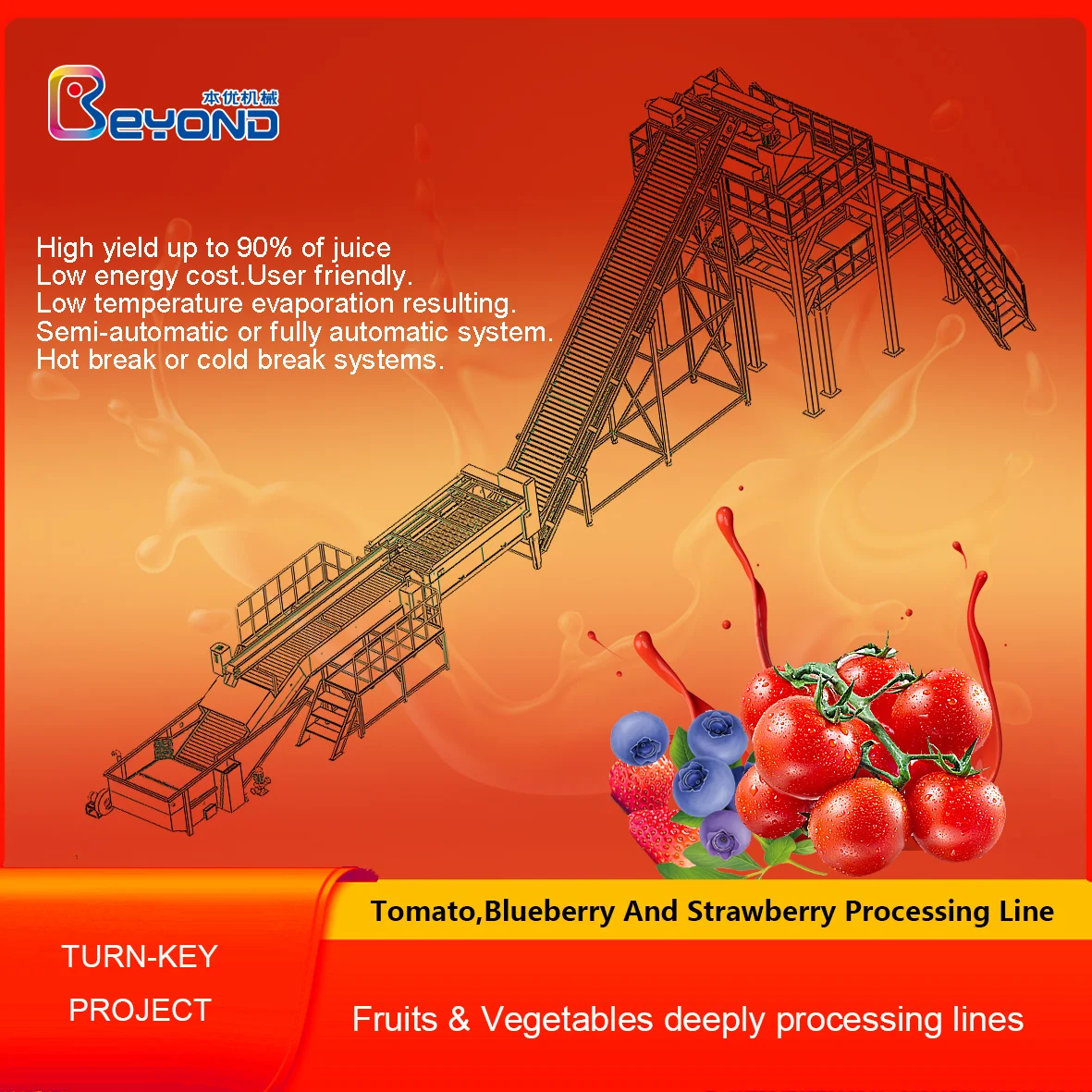 Tomato Processing Machines - Efficient & Durable Solutions