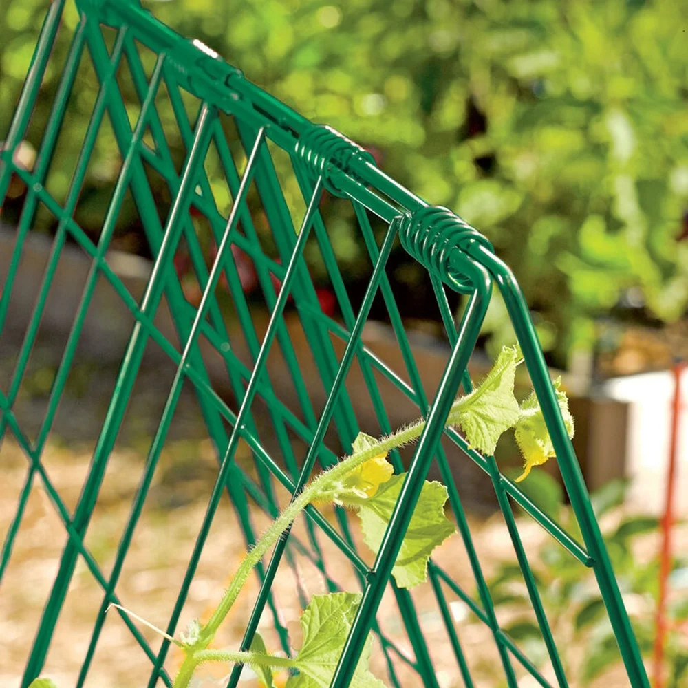 A Frame Vertical Cucumber Trellis - Maximize Space & Yield