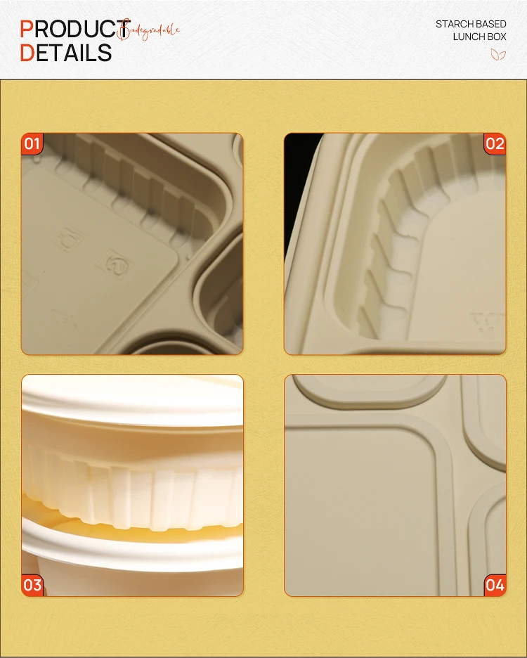 Biodegradable Food Container White Disposable With Lid Packaging Take