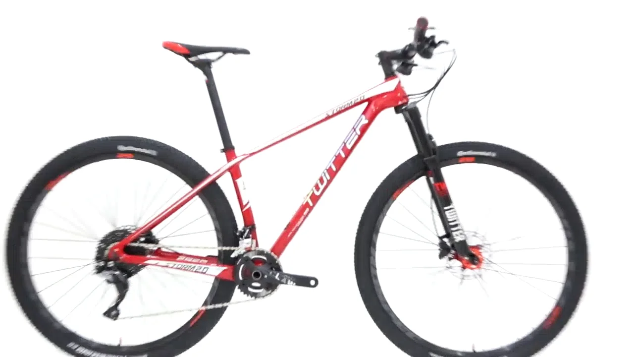 TWITTER LEOPARD-RS With SHIMANO M7100-12S High Modulus Carbon Frame ...