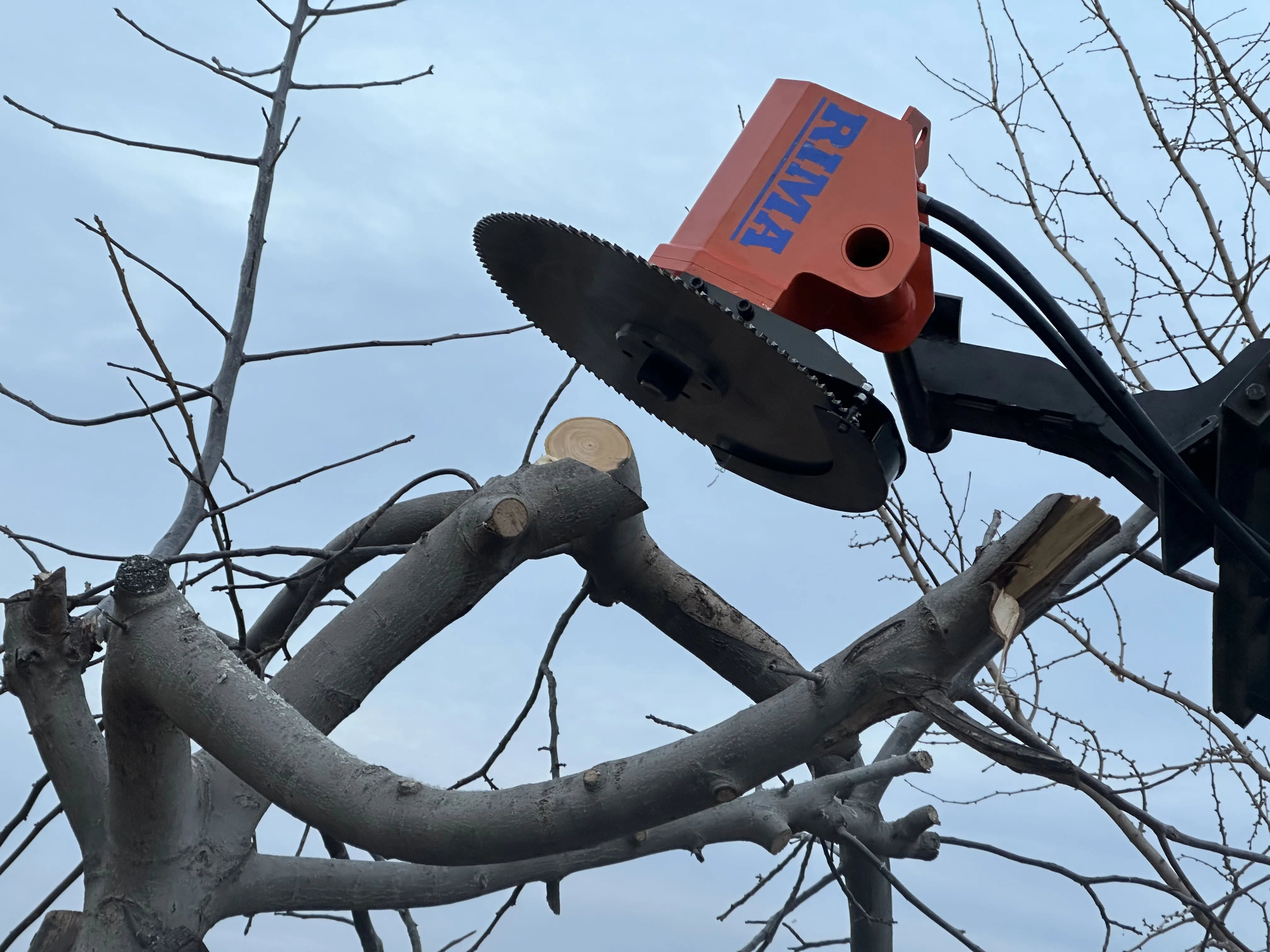 RIMA Tree Cutter Saw Head Disc Circular Saw - Cut Wood Efficiently