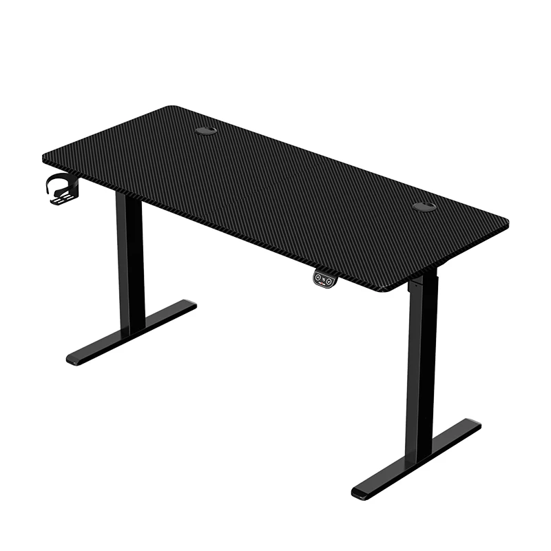 New RGB PC Computer Table Ergonomic Gaming Desk Dual Motor Stand Desk ...