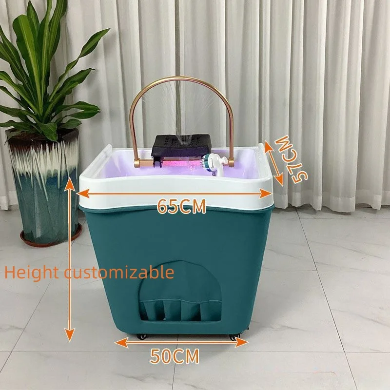 Winplus Massage Chair Headspa Backwash European Shampoo Bowls