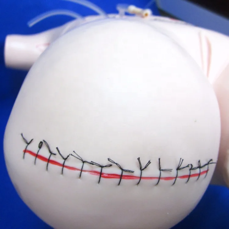 Surgical Wounds Care Dummy Suturing and Bandaging Nursing Manikin ...