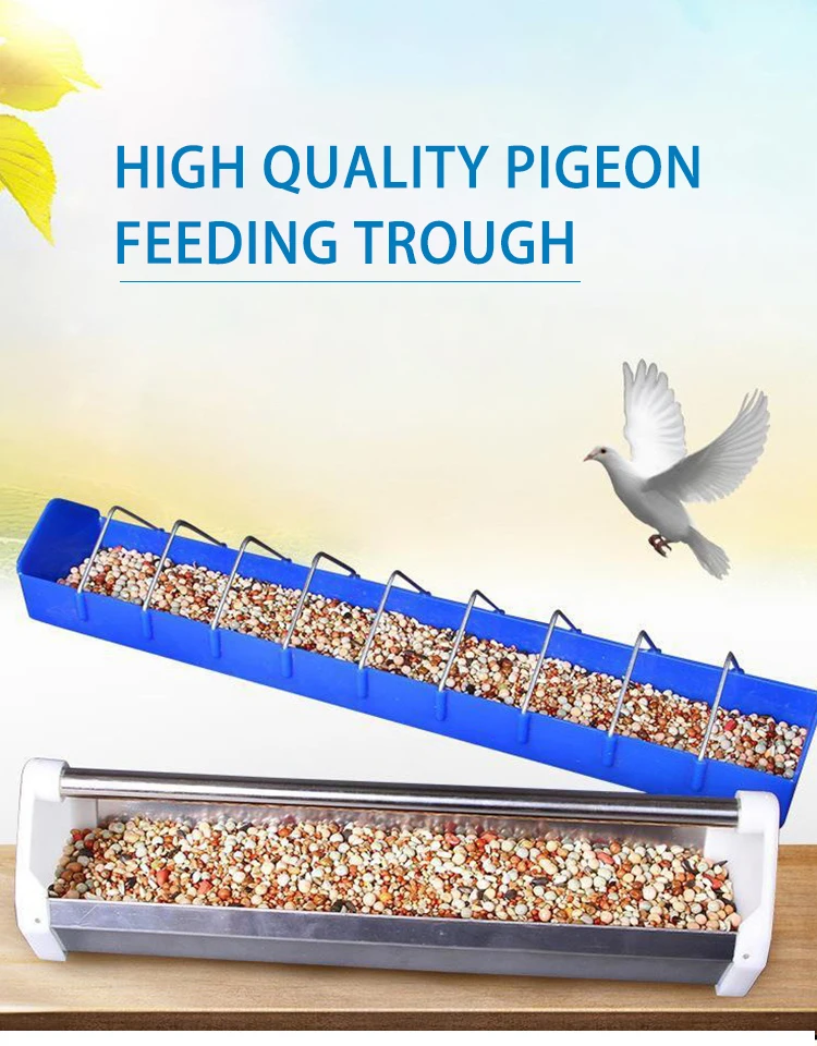 Durable Plastic or Stainless Steel Racing Pigeon Bird Feeder Long 30cm ...