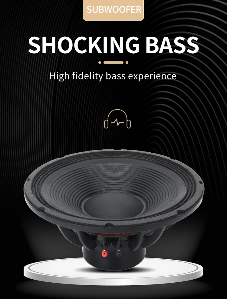 18 Inch Woofers - Powerful Subwoofers for Professional Bass