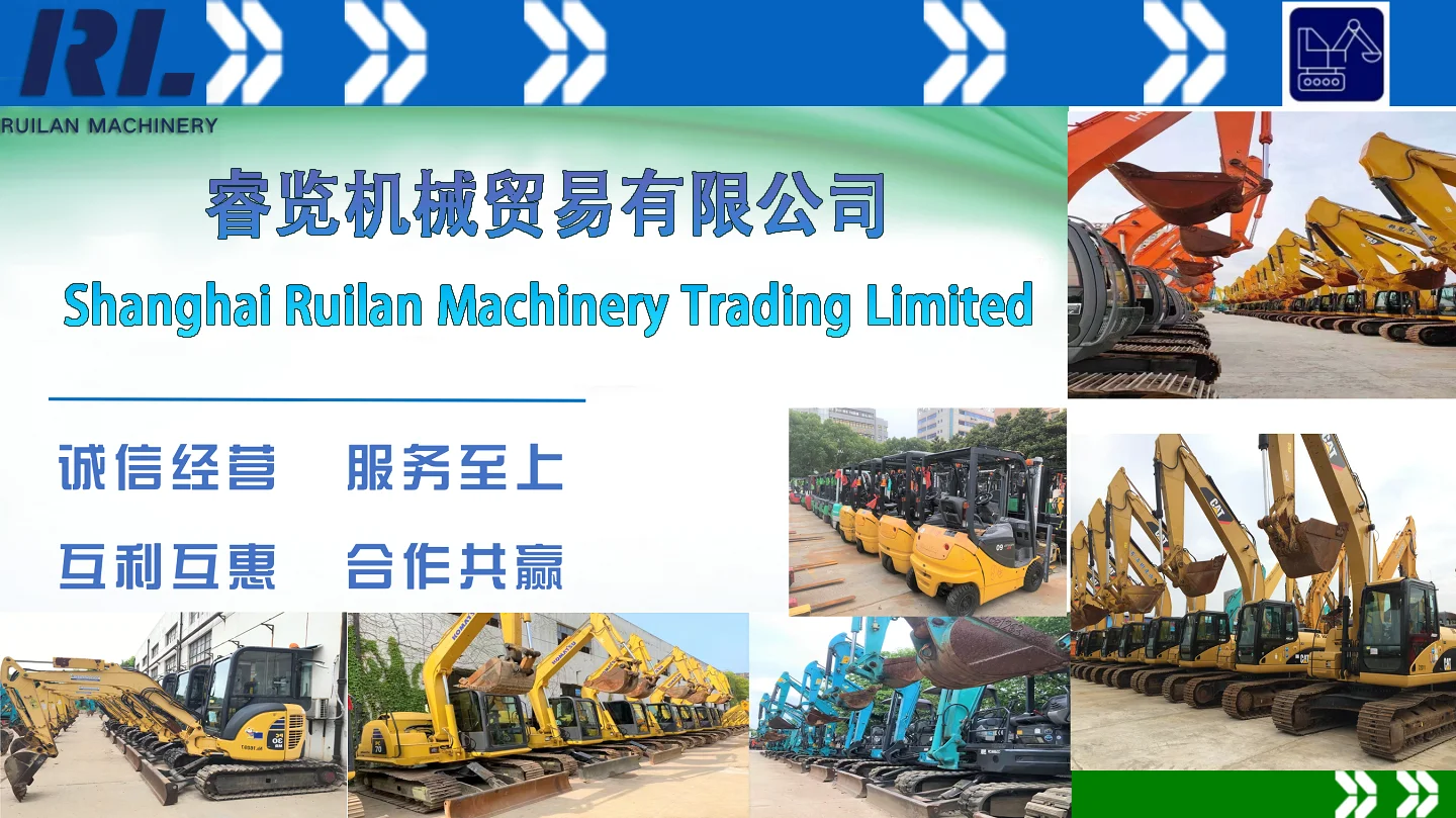 Used Excavator Digger - Premium Version Escavatore Japan