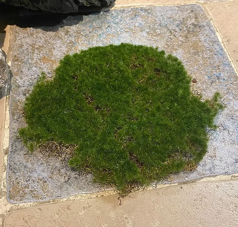 Artificial Forest Landscaping Simulated Stone Moss Blocks Plant Home ...