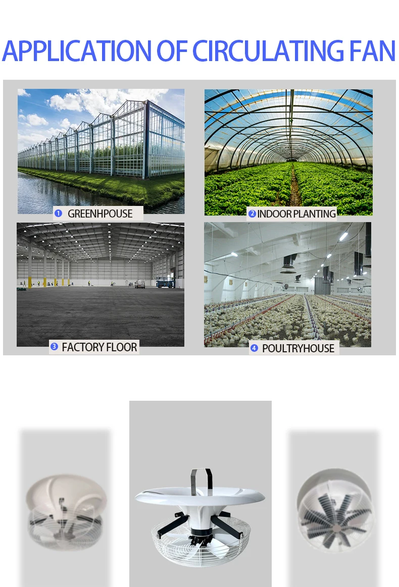 Vertical Circulation Industrial Thailand Axial V Flo Fan For Medical ...