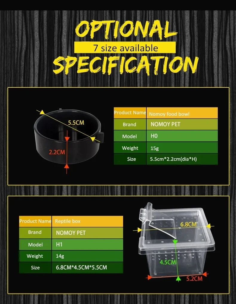 Portable Transparent Plastic Box Snake Breeding Box Faunarium Critter ...