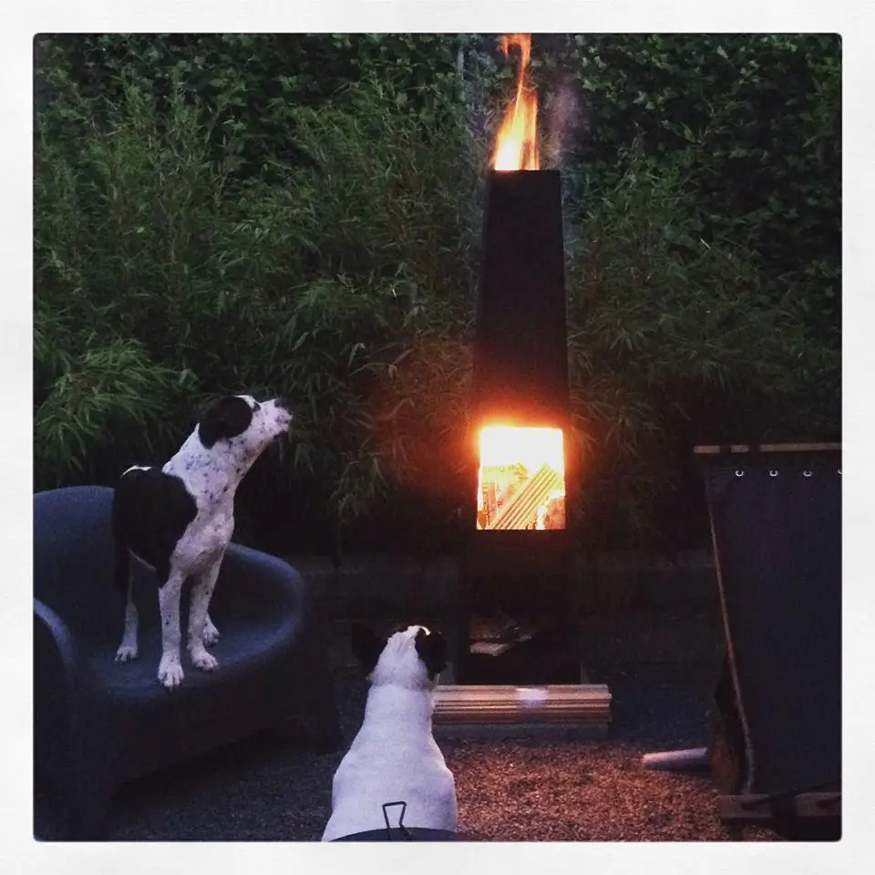 High Quality Outdoor Brasero Barbecue Tower Fire Pit Bonfire Black ...