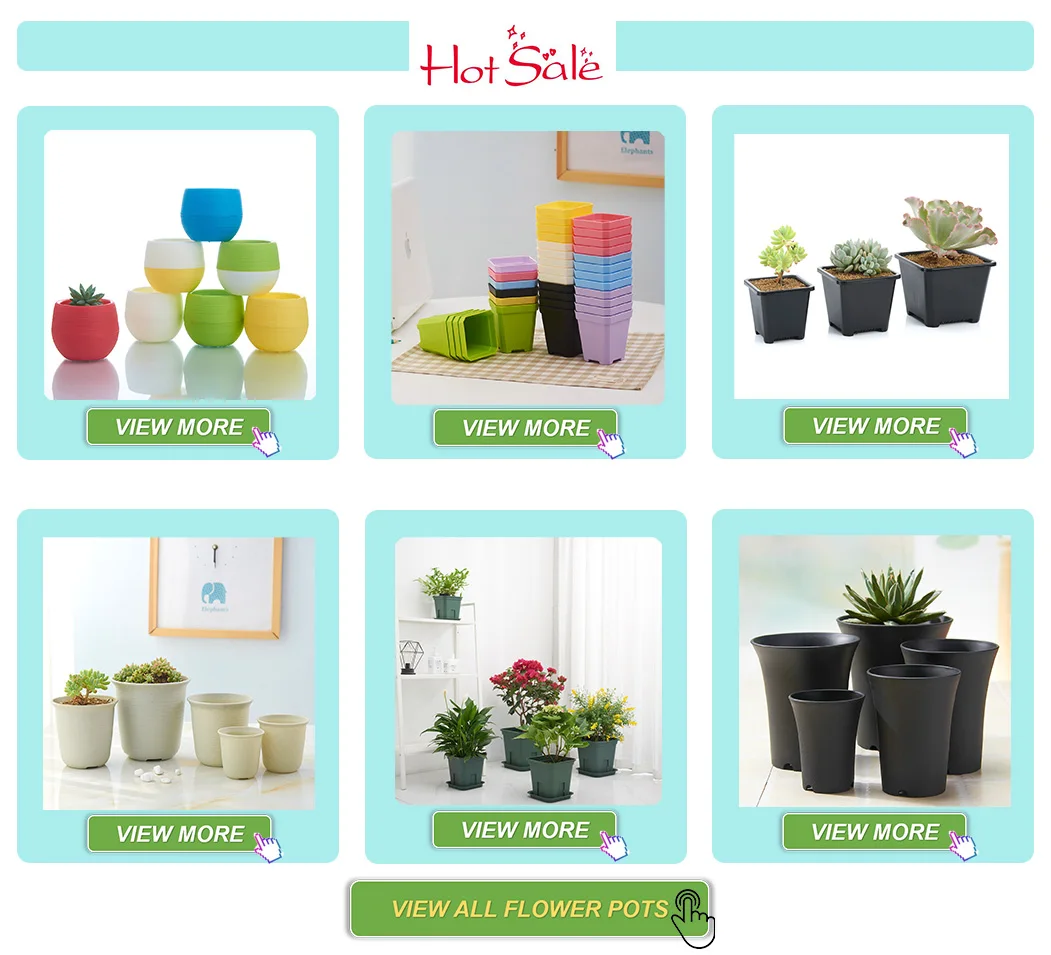 Cheap Square Plastic Slit Dendrobium Haworthia Succulent Planter Pot ...