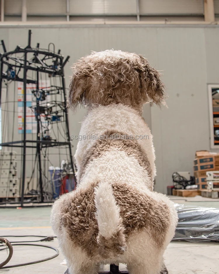 Custom Furry Plush Dog Sample Animatronic Animals Dog Models Form ...