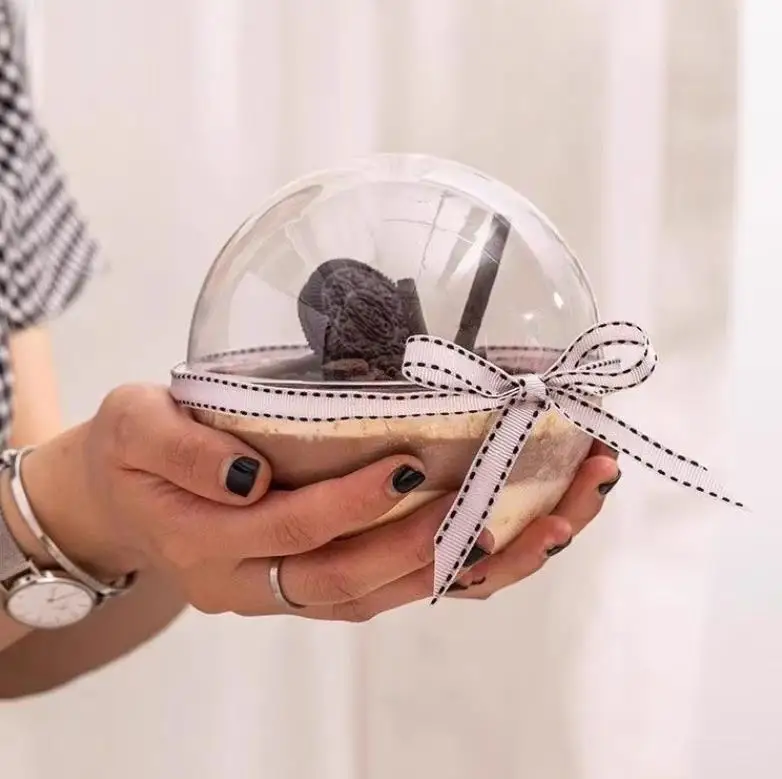 Transparent Plastic Gift Round Mousse Cake Ball Packaging Box Small ...