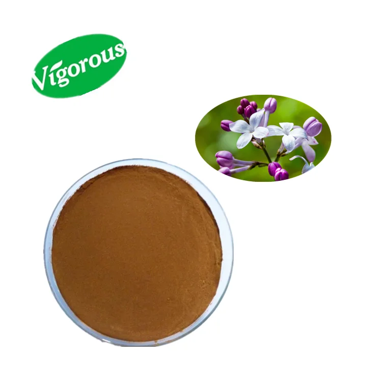 Clove Extract Powder 10:1 - Pure Natural Health Food