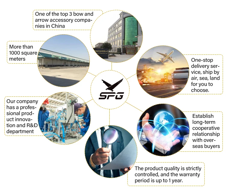 Spg Compound Bow Archery Hunting Metal Bow And Mixed Carbon Arrow Set ...