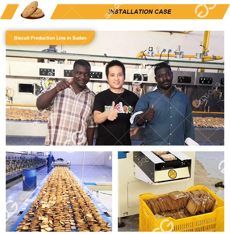 Small Scale Hard Biscuit Production Line Salty Biscuit Make Machine ...