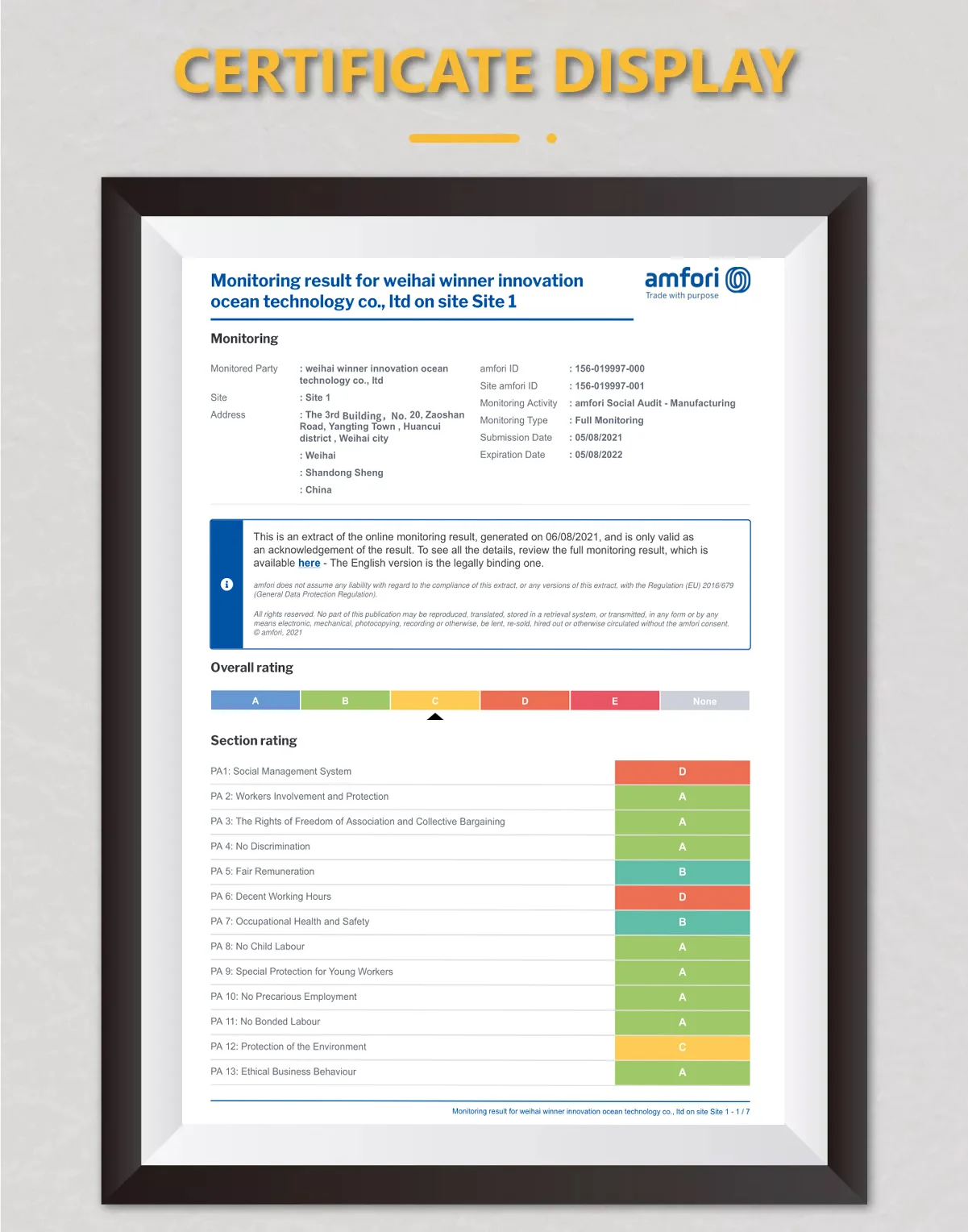 Geetone SUP Pedal Stand up Peddle Board Inflatable Isup 335cm