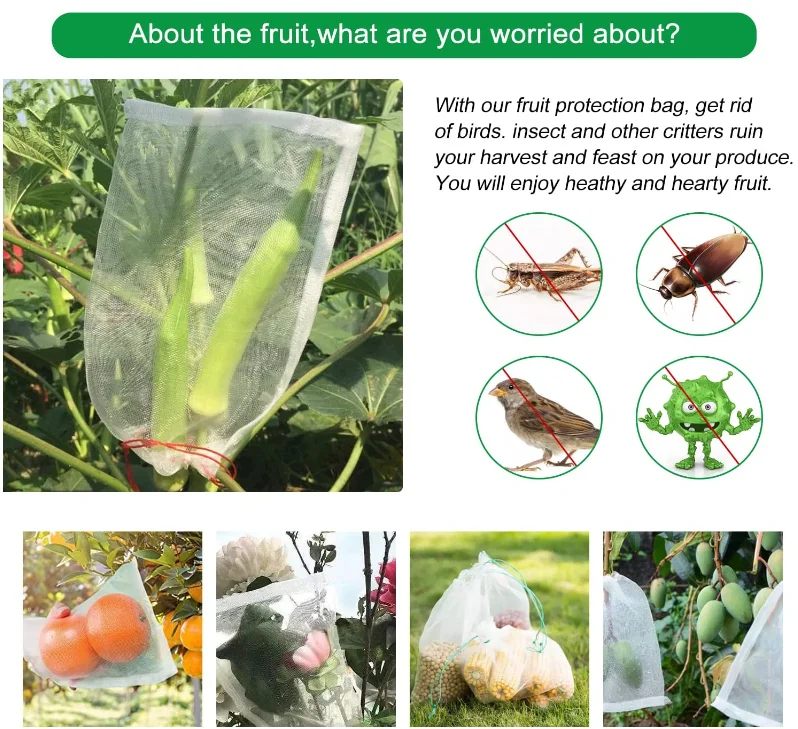 Custom Fruit Grow Bagging - Protective Paper Packaging