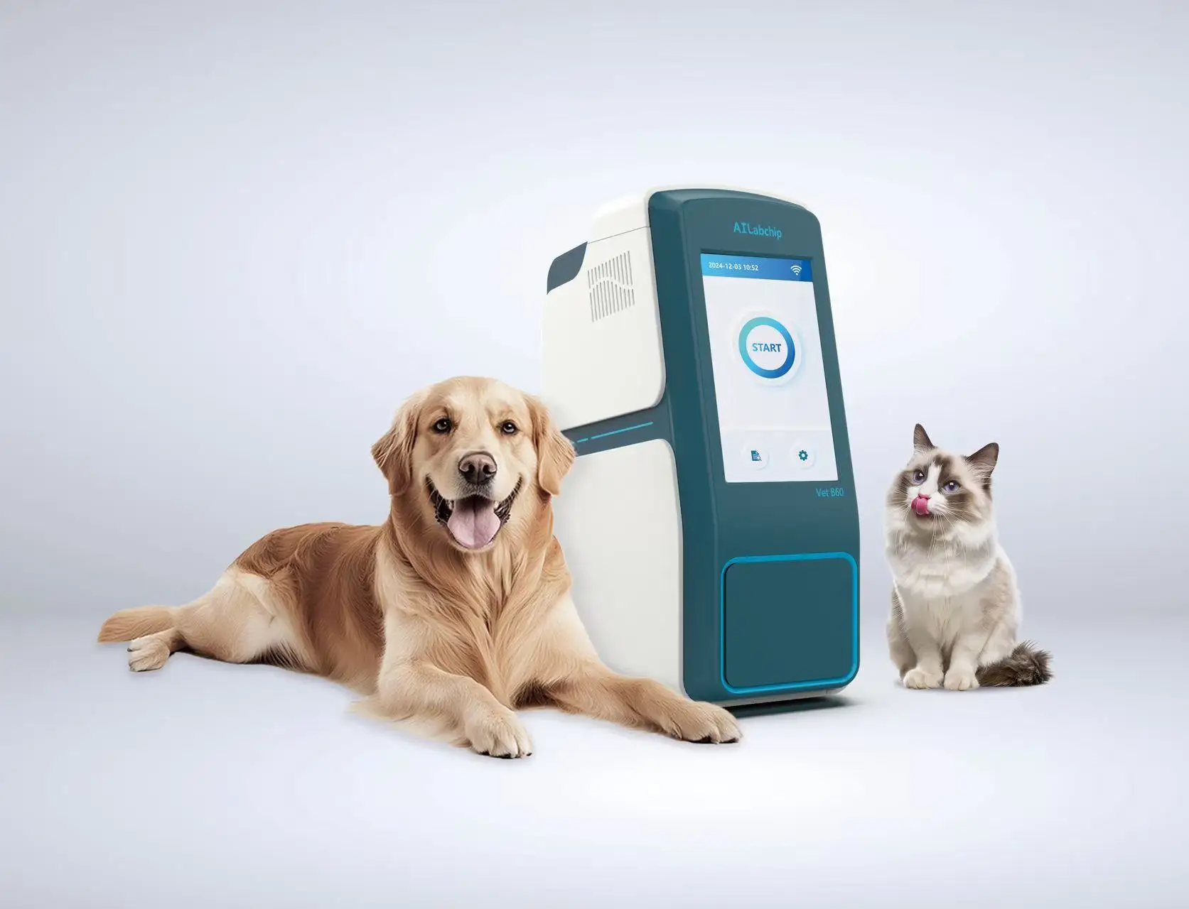 Factory Portable Fully Automatic Biochemistry Analyzer Blood Test ...