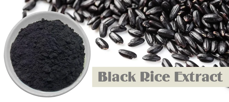 Anthocyanin 25% Powder from Black Rice Extract - Pincredit