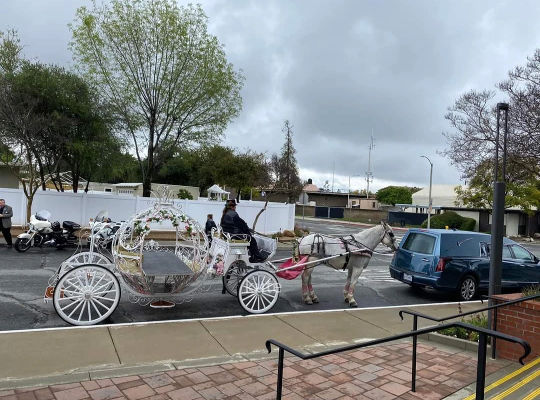 Pumpkin Style Funeral Hearse Carriage Luxury White Horse Hearse ...