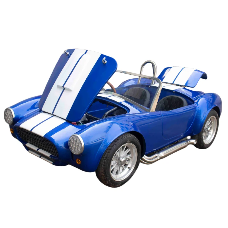 New Design 2200w Electric Widened Mini Cobra Mini Hot Rod Support ...