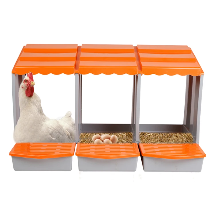 1 2 3 Compartment Laying Box For Hens Chicken Nesting Boxes With Egg ...