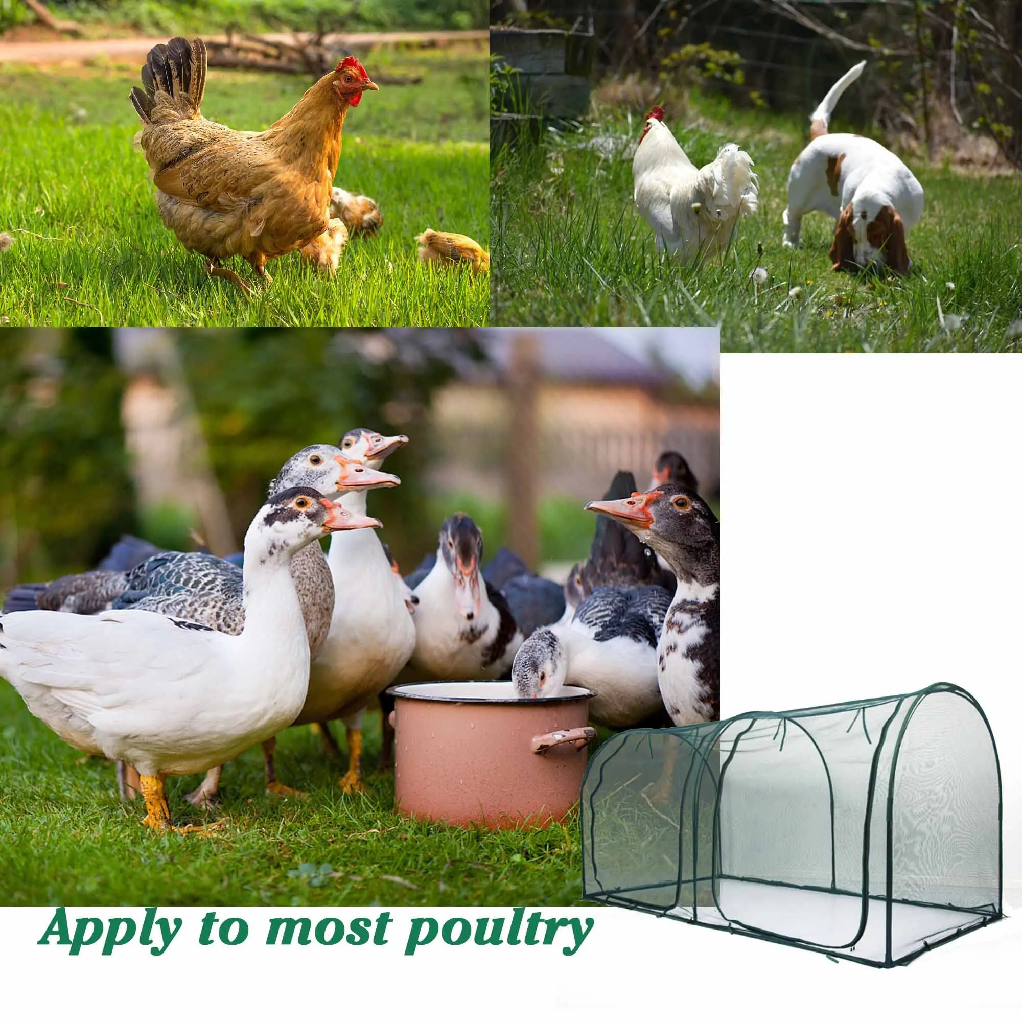 Portable Chicken Run Hen Coop Walk-In Poultry House Easy-Up Outdoor ...