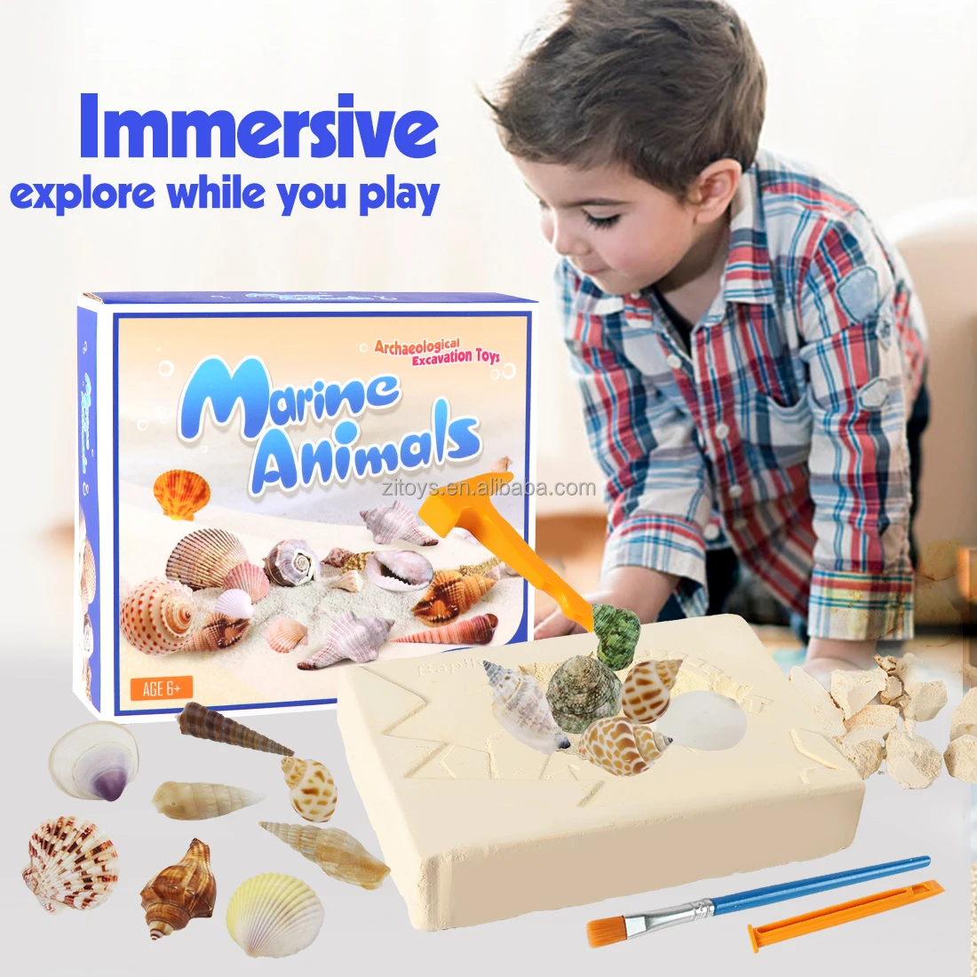Diy Marine Animals Gypsum Archaeology Excavation Toy Kit Dig And ...