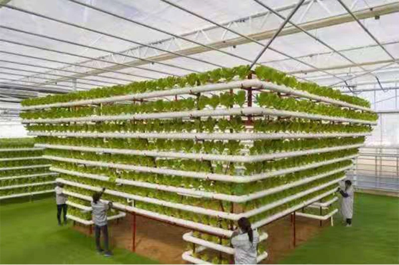 Aeroponics Hydroponic System Aeroponics Equipment - Buy Aquaponics Kit ...