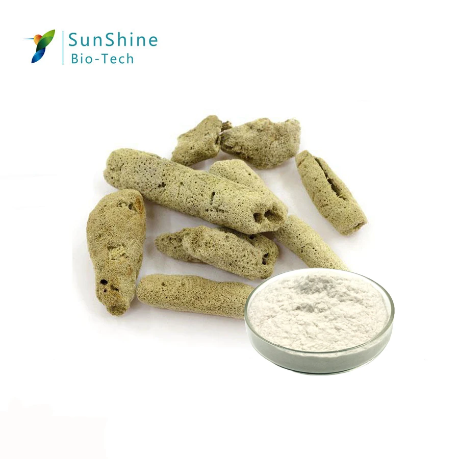 Hydrolyzed Sponge Spongilla Spicule Skin Care Products