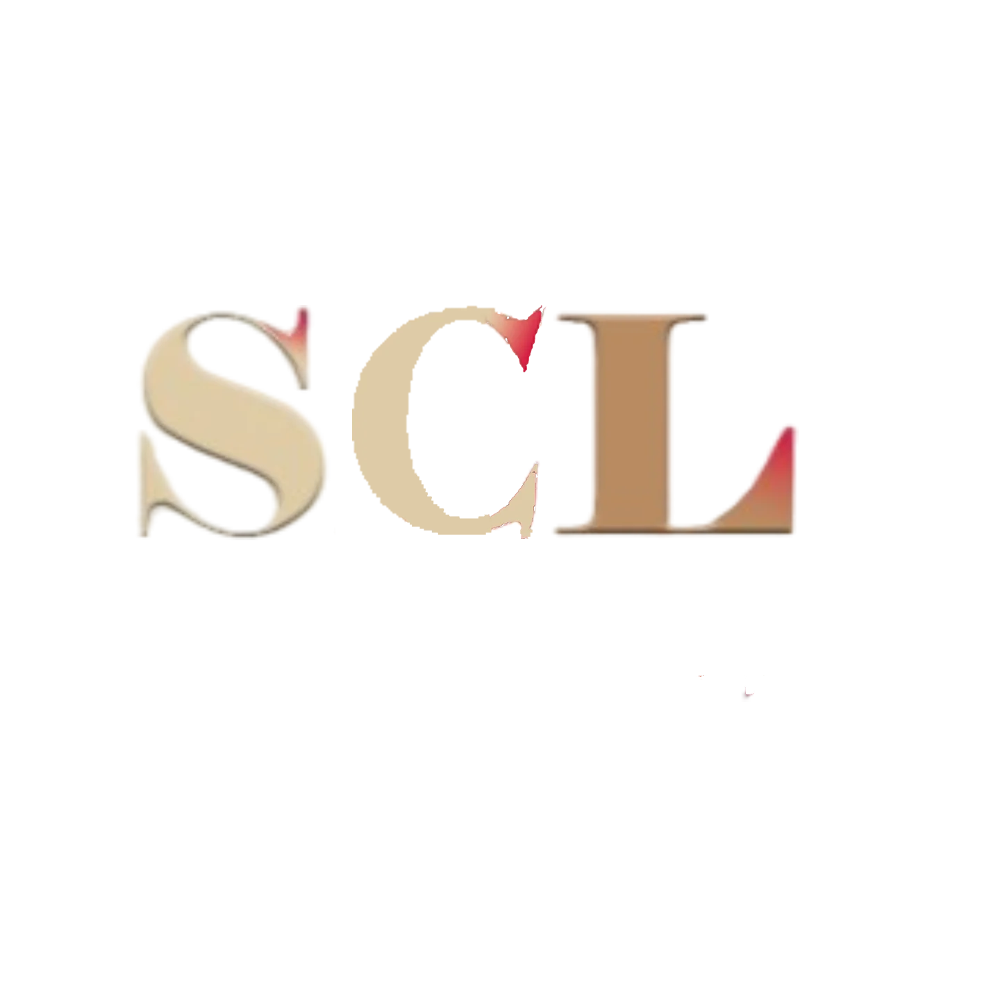 Company Overview - Xuzhou Securilock Import And Export Co., Ltd.