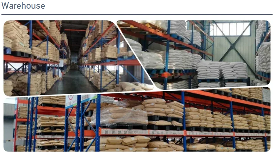 ELVALOY 4170 Terpolymer - Versatile and High-performance