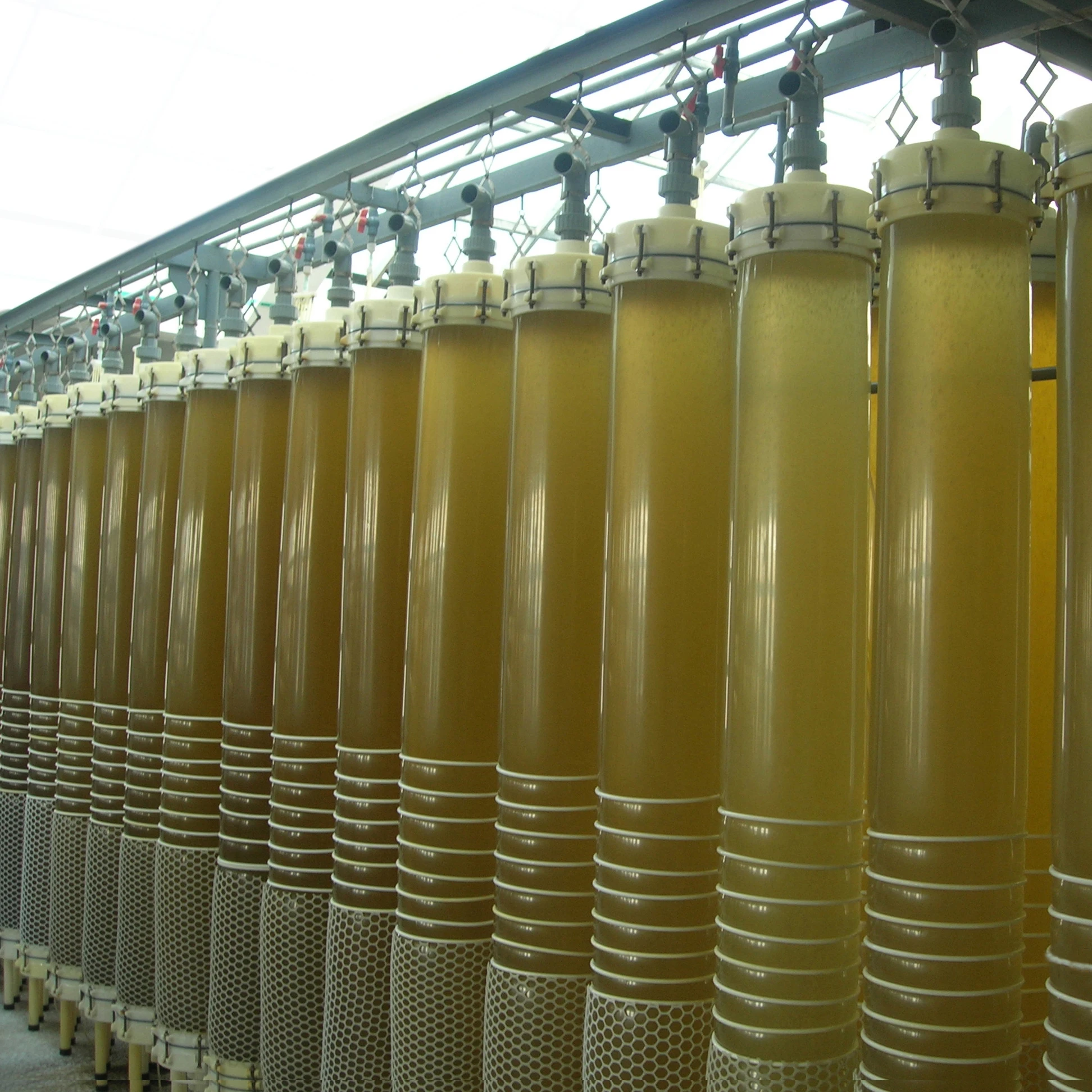 Indoor Cultivation System for Chlorella Micro Algae