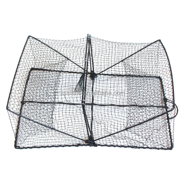 Alibaba.com: Square Trap Cage for Lobster Crayfish Crab Shrimp ...